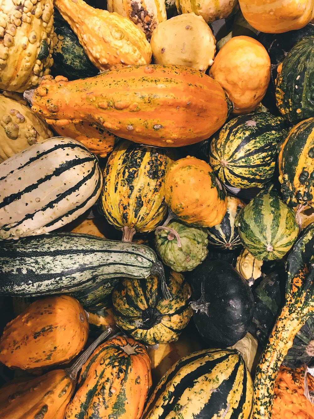 Primavera Chicken Spaghetti Squash – Fustini's Oils & Vinegars
