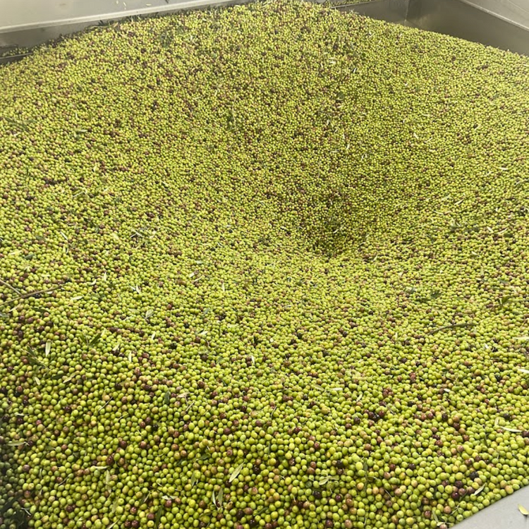 Fustini's Oils and Vinegars | Fustini's Artisanal Food – Fustini's Oils ...